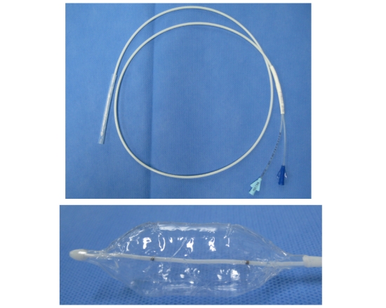 식약처, 대동맥판막 치환 시술제품 희소의료기기 지정